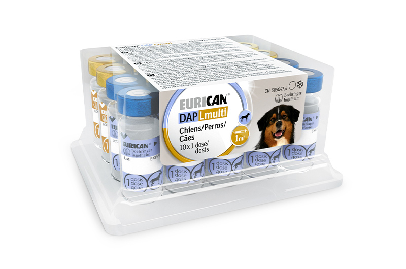 Help4vets | Cuidamos de los animales ️ Recursos y formación