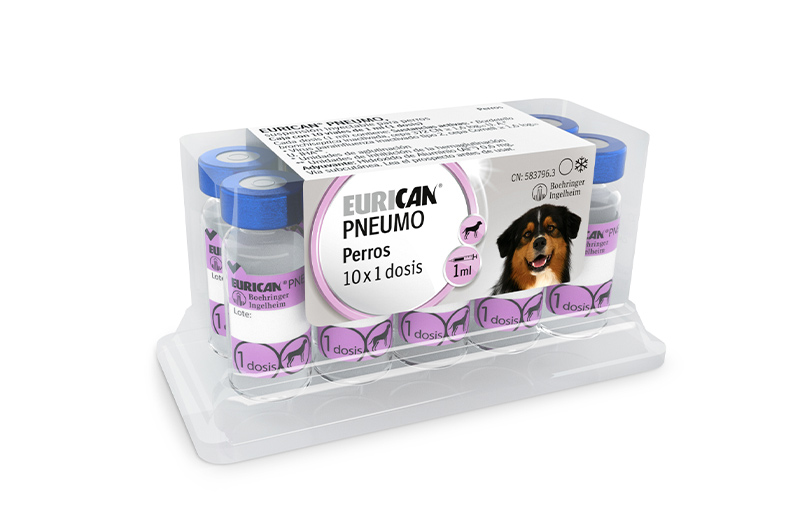 Eurican® Pneumo | Help4vets