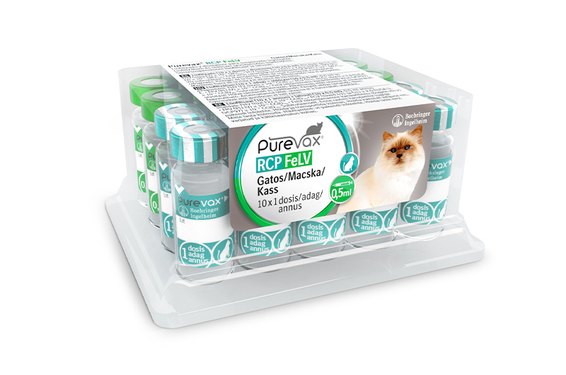 Purevax® RCP-FeLV | Help4vets