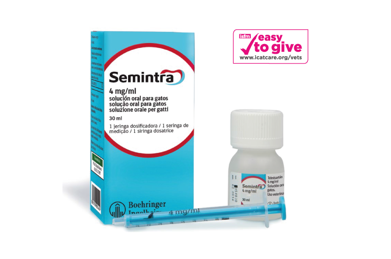 Semintra® 4 mg/ml. Solución para gatos | Help4vets