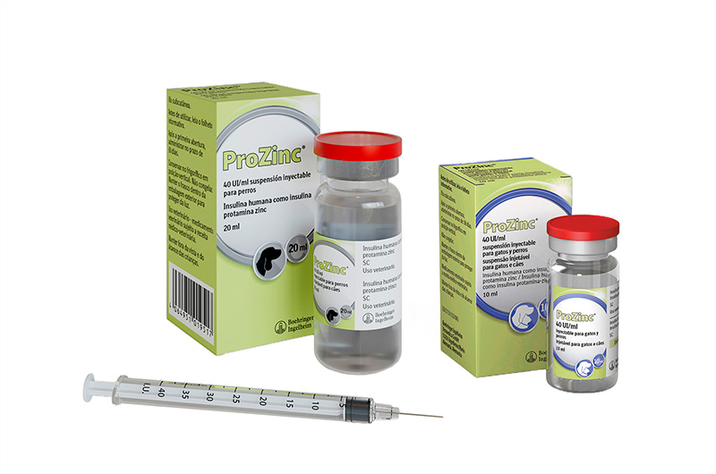 Qué Sucede Si El Perro Pierde La Inyección De Insulina